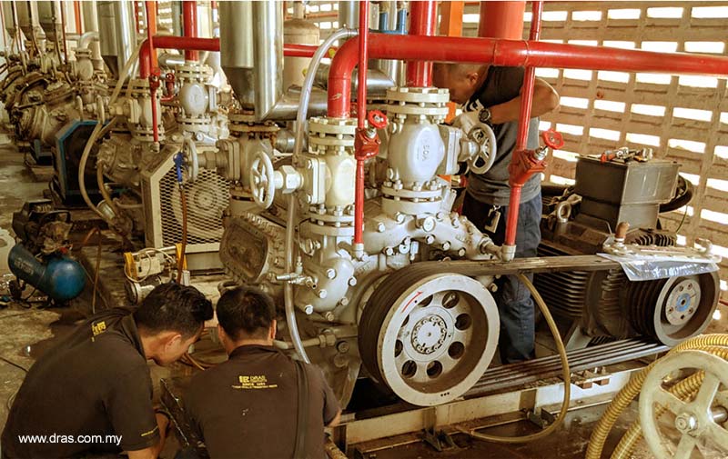 Cold Room & Refrigeration System Solutions Company - Digital Web My Talk